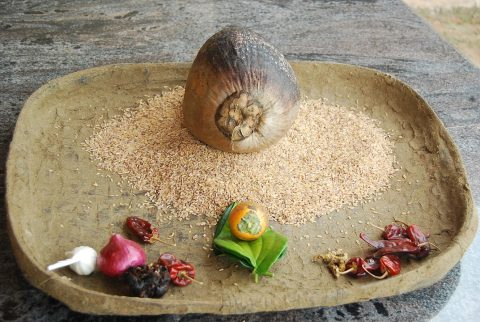Keddasa - A Tulunadu Farming Tradition Honoring Mother Earth